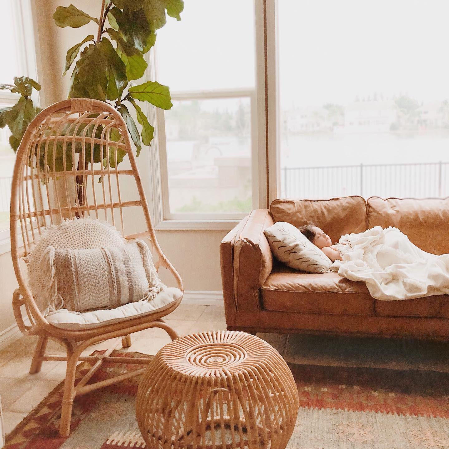 Fallon Natural Rattan Cocoon Chair with Cushion World Market